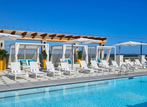 ECVC | Emerald Coast Veterinary Conference